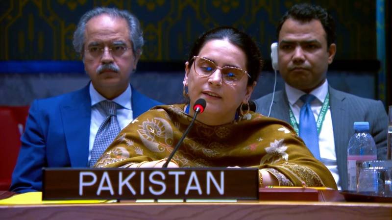 Pakistan urges UN to act on Kashmir and Palestine disputes - Kashmir ...